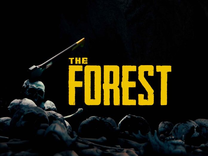 The Forest: How to Play with Friends - Enjoy in a Group