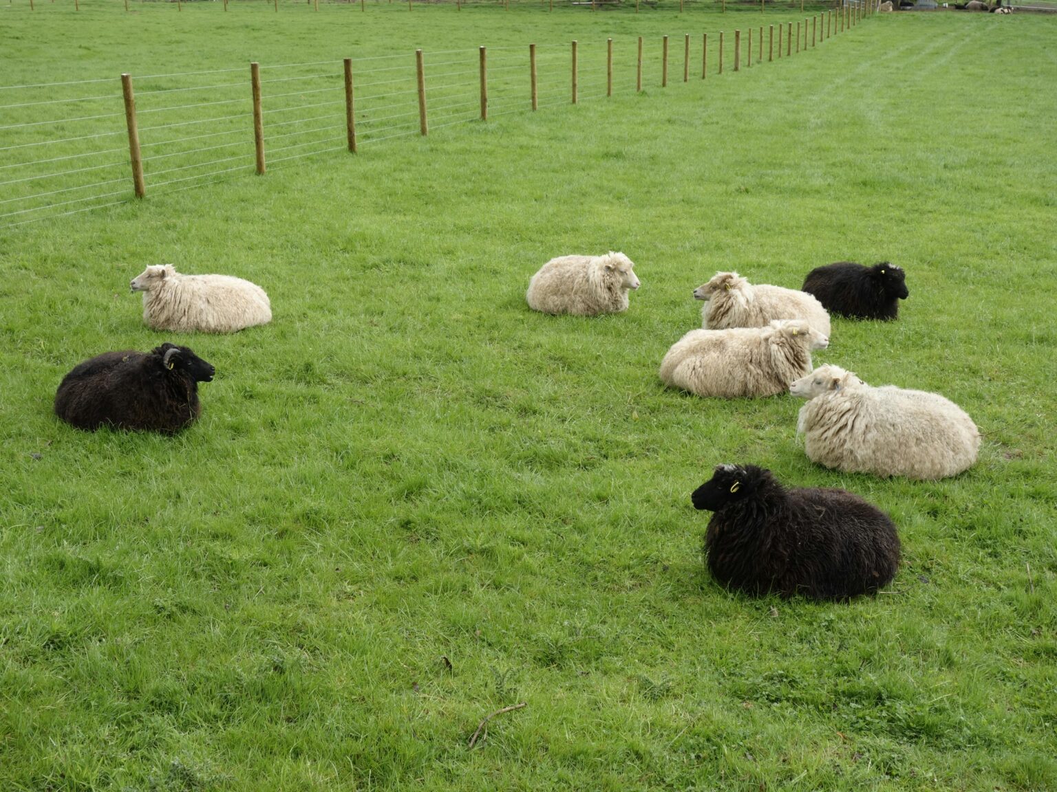 Trucos Farming Simulator 22 PS5: Guía completa