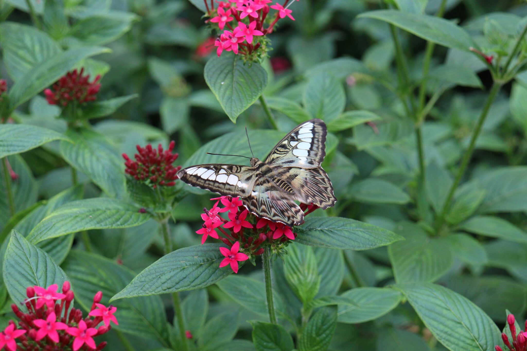 Easy moving with apps: Streamline the process when moving house