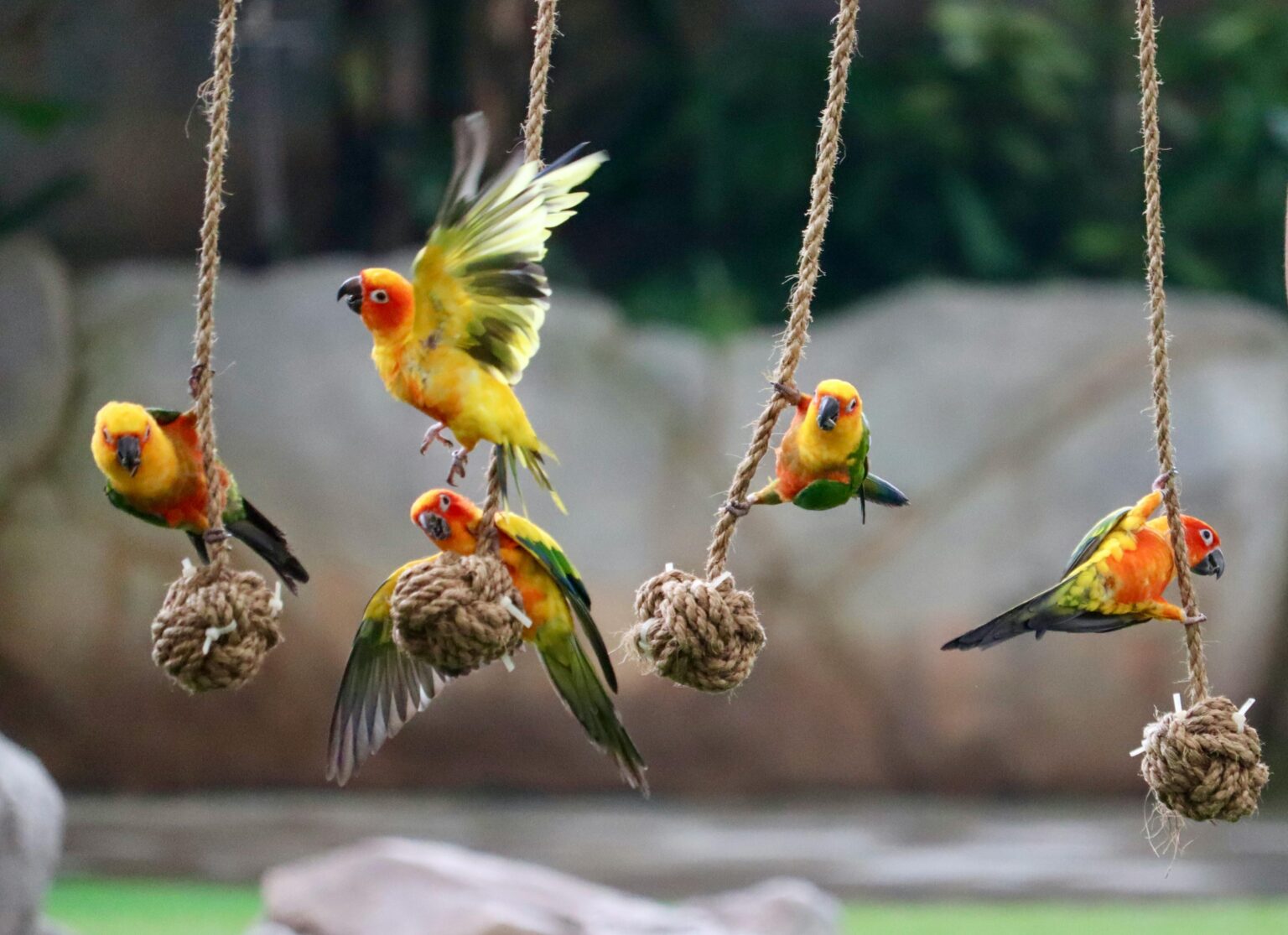 De ce Lightshot nu funcționează: Soluții