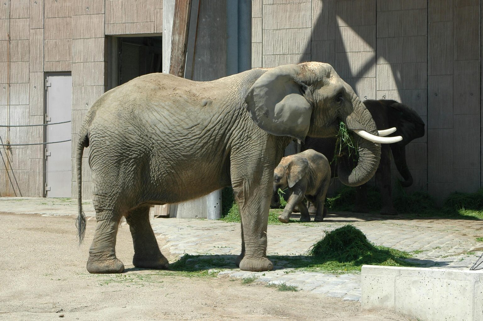 Enable pop-ups in Safari: Quick Start